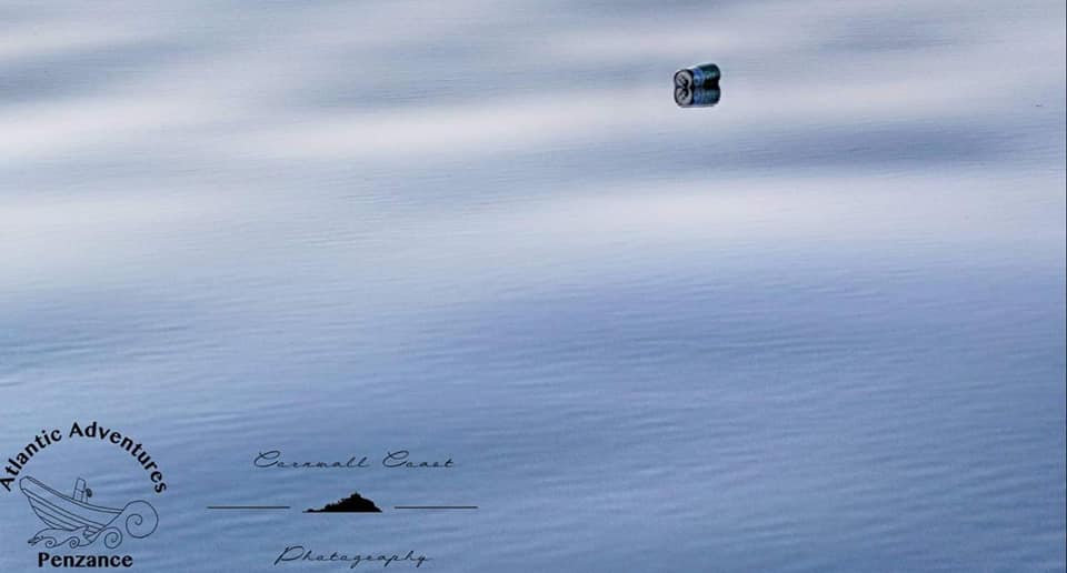 Wildlife Watching Boat Trips - Atlantic Adventures